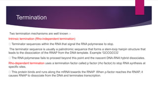 GENE EXPRESSION AND IT’S REGULATION.pptx