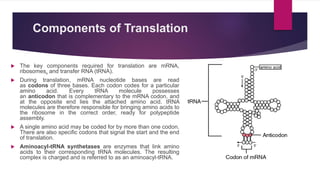 GENE EXPRESSION AND IT’S REGULATION.pptx