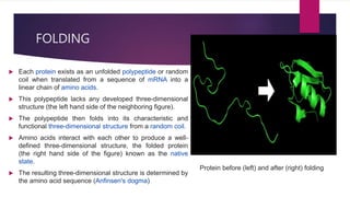 GENE EXPRESSION AND IT’S REGULATION.pptx