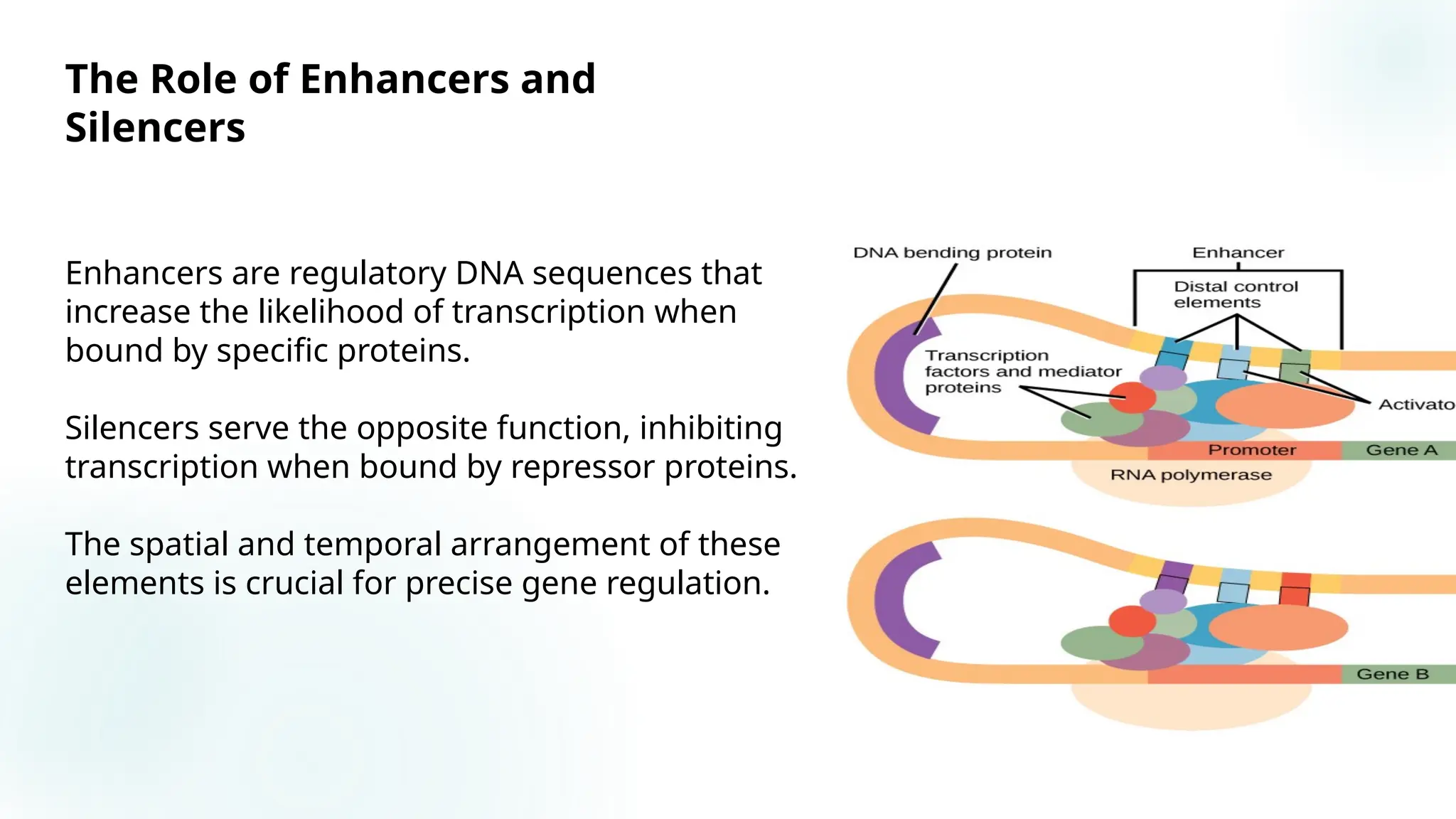 Gene Expression And Its Regulation by TOQIR AHMED.pptx