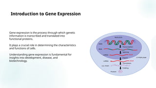 Gene Expression And Its Regulation by TOQIR AHMED.pptx