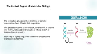 Gene Expression And Its Regulation by TOQIR AHMED.pptx