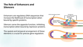 Gene Expression And Its Regulation by TOQIR AHMED.pptx