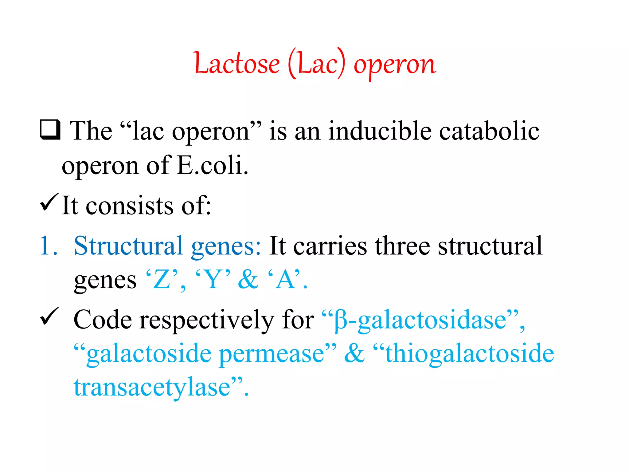 Gene expression and regulation | PPTX