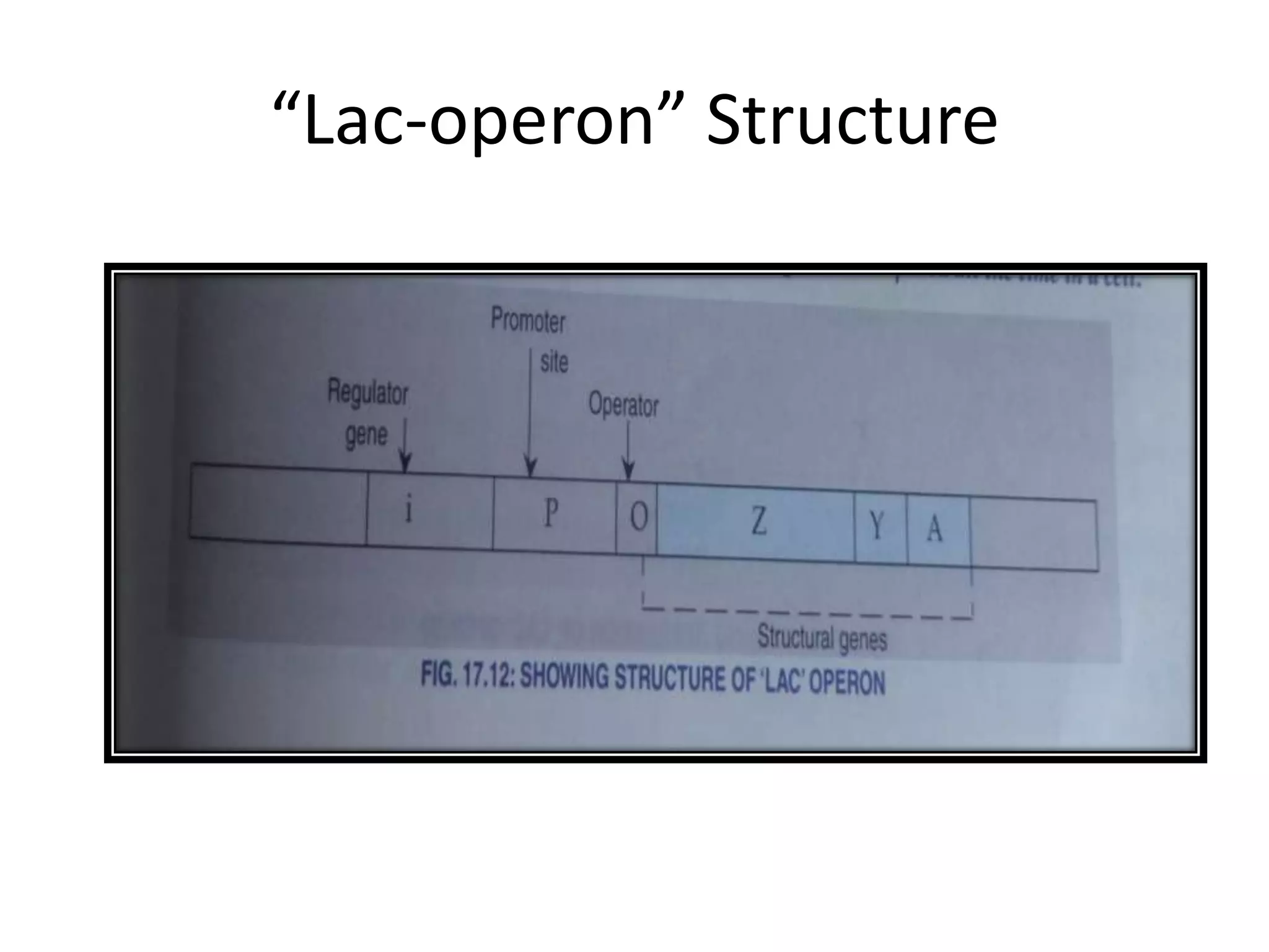 Gene expression and regulation | PPTX