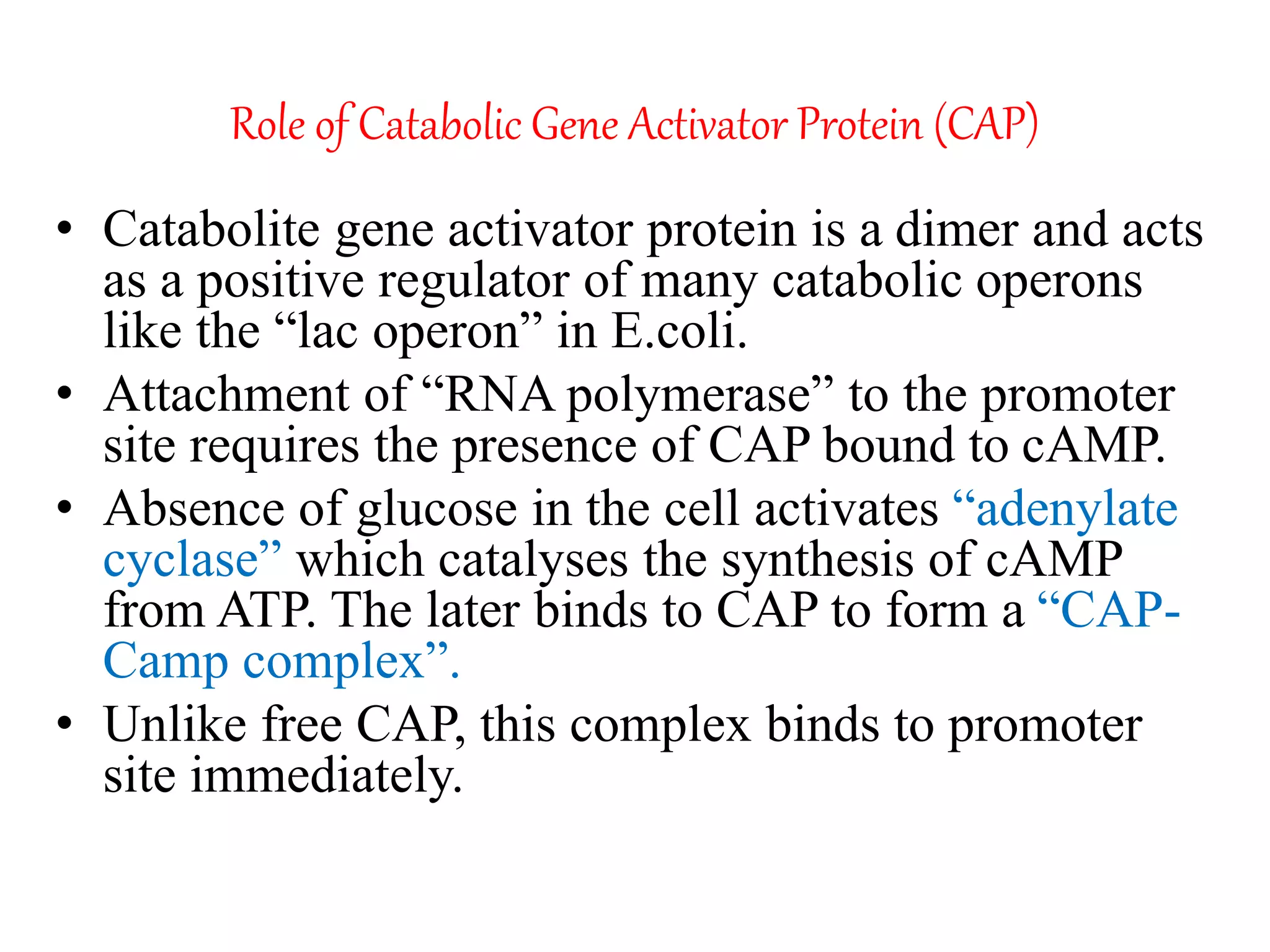 Gene expression and regulation | PPTX