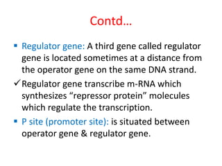 Gene expression and regulation | PPTX