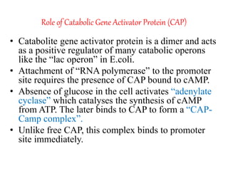 Gene expression and regulation | PPTX