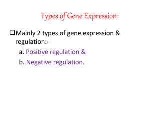 Gene expression and regulation | PPTX