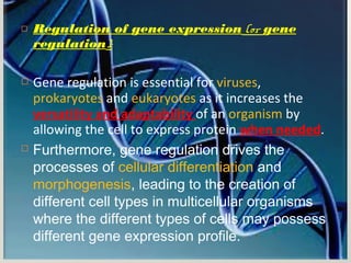 Gene expression and regulation | PPT