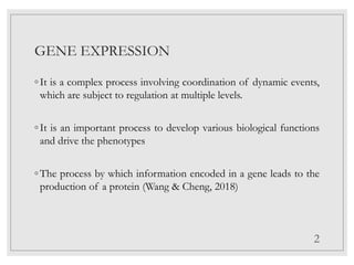 Gene expression and regulation | PPTX