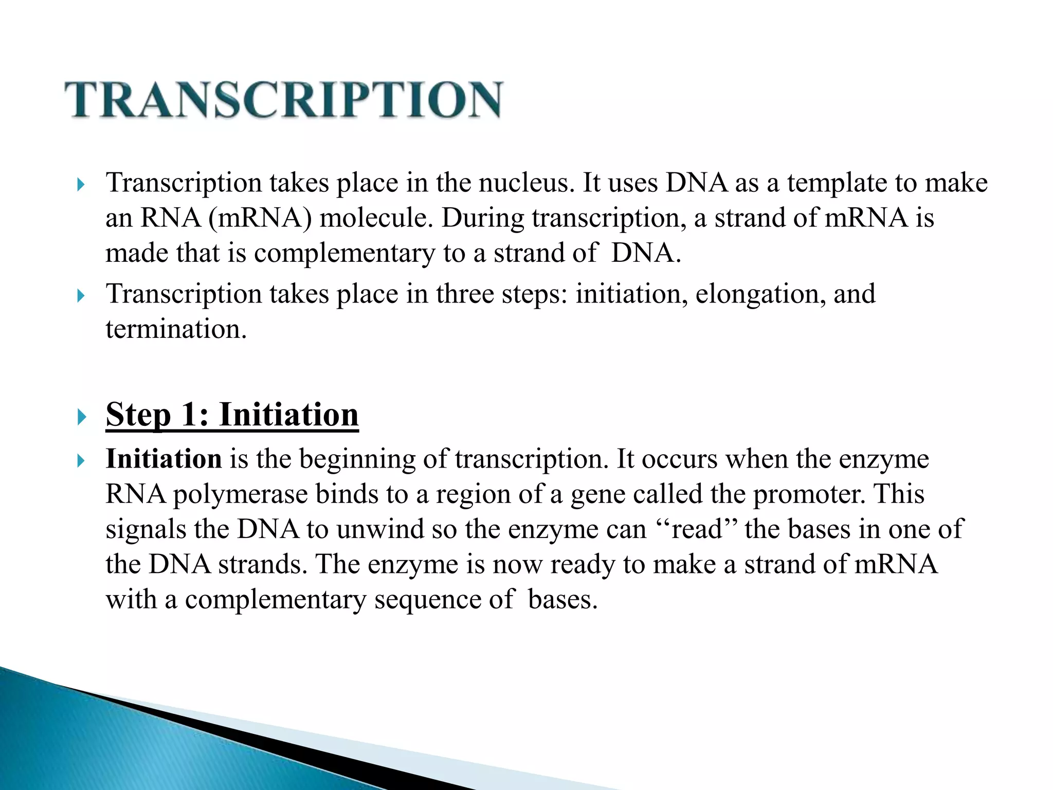 GENE EXPRESSION AND REGULATION.pptx
