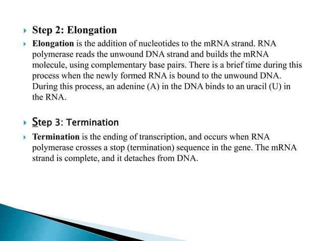 GENE EXPRESSION AND REGULATION.pptx | Biological Sciences | Science