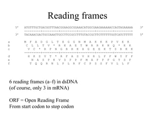 Power Point Presentation on Gene Expression and Regulation.ppt