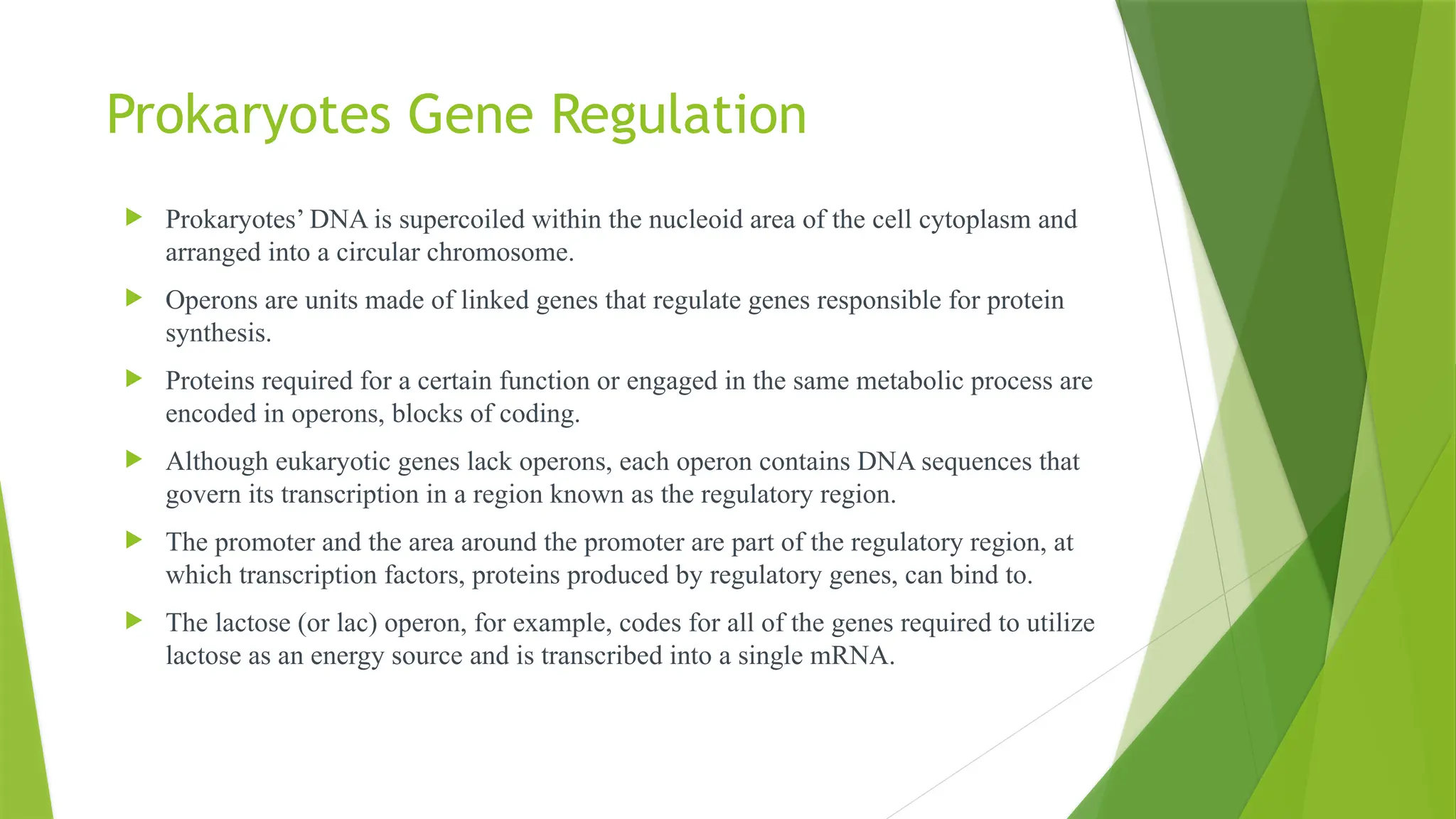 Gene Expression and Regulation-Lec 2.pptx