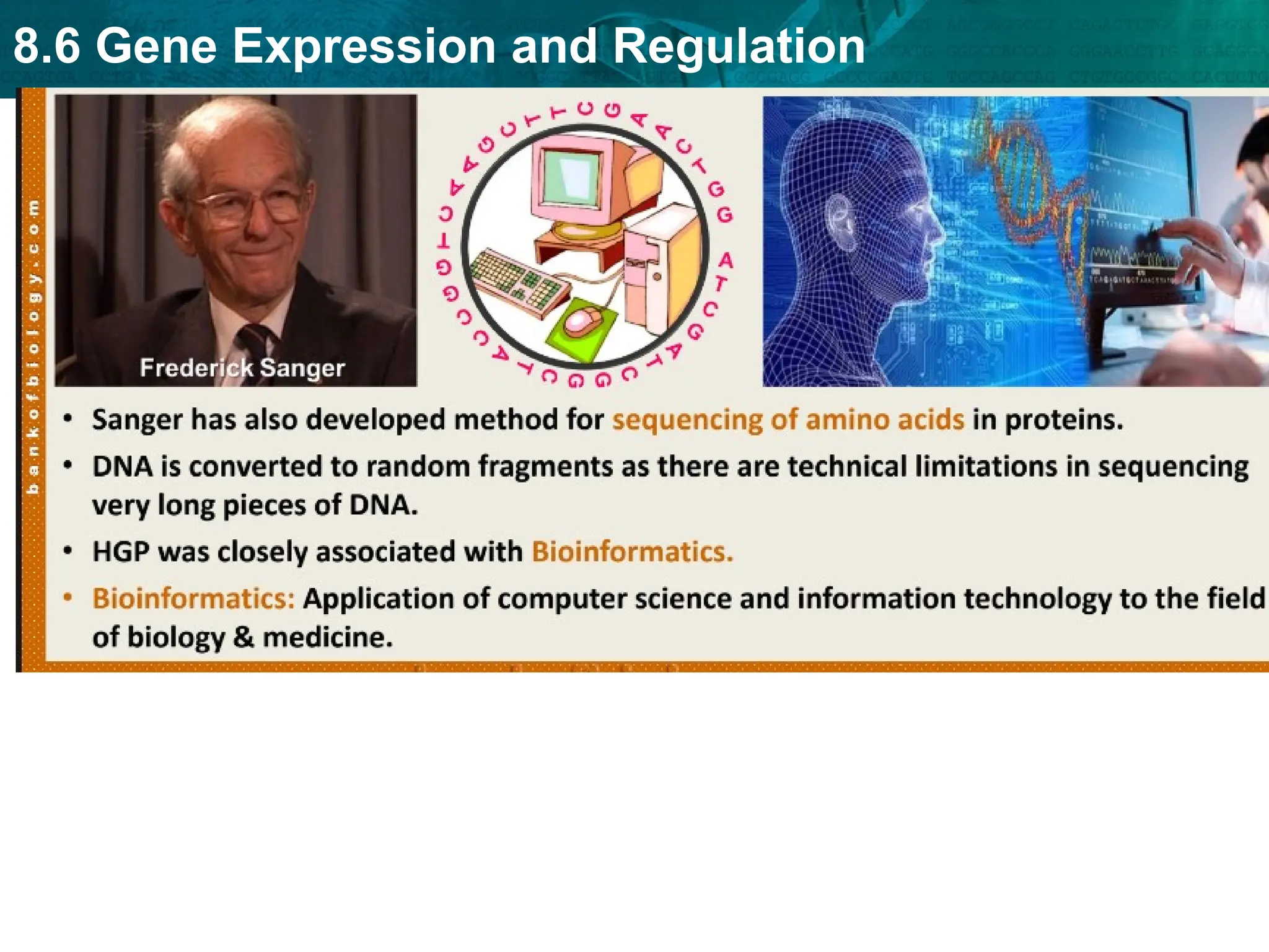 Gene Expression and Regulation-Transcription, Translationh.ppt