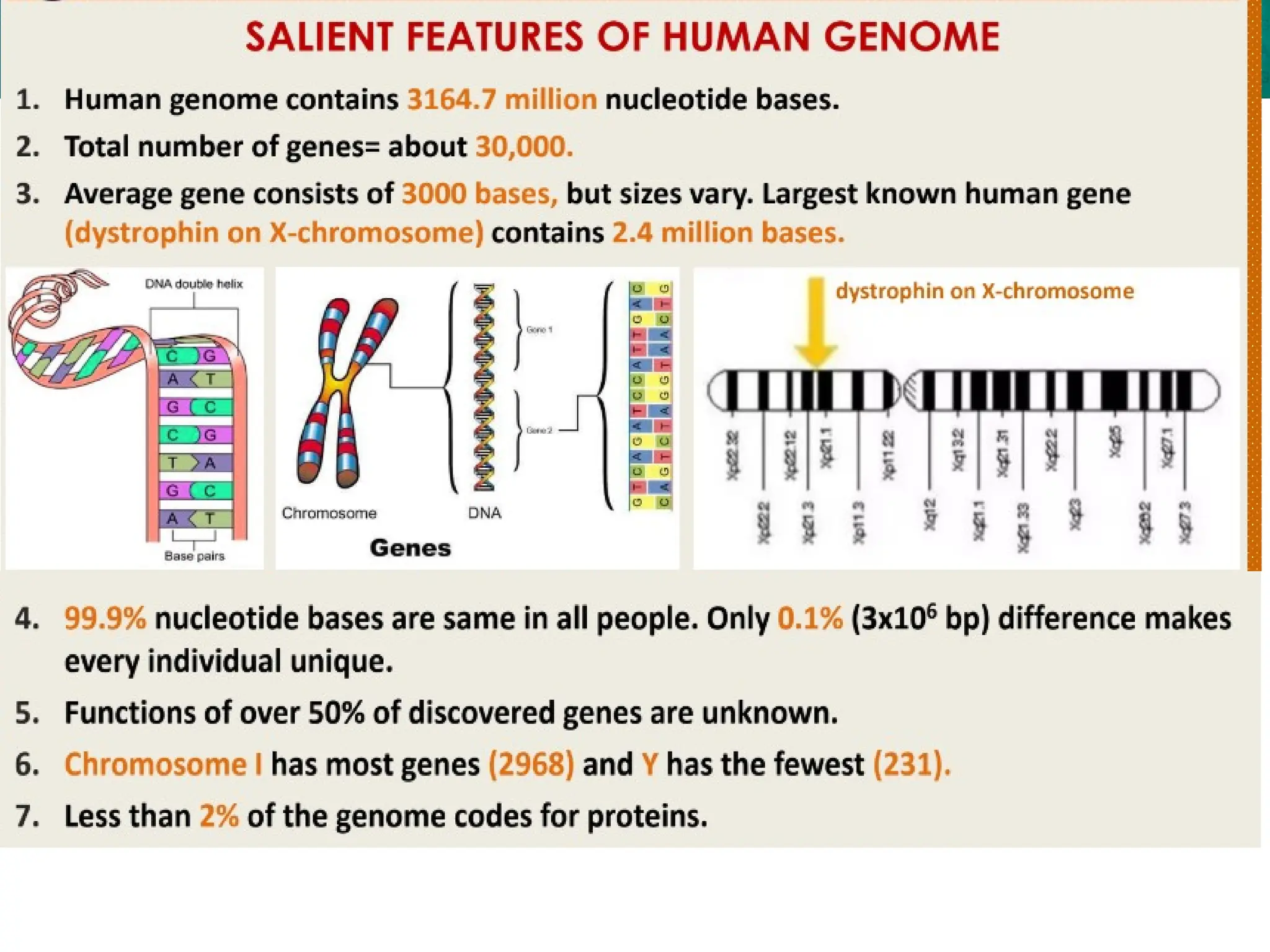 Gene Expression and Regulation-Transcription, Translationh.ppt