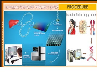 Gene Expression and Regulation-Transcription, Translationh.ppt
