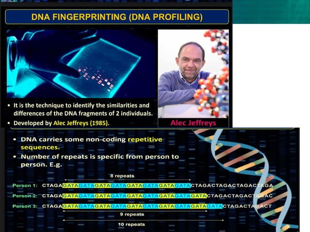 Gene Expression and Regulation-Transcription, Translationh.ppt