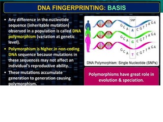Gene Expression and Regulation-Transcription, Translationh.ppt