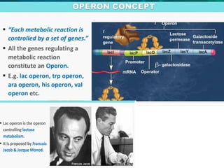Gene Expression and Regulation-Transcription, Translationh.ppt
