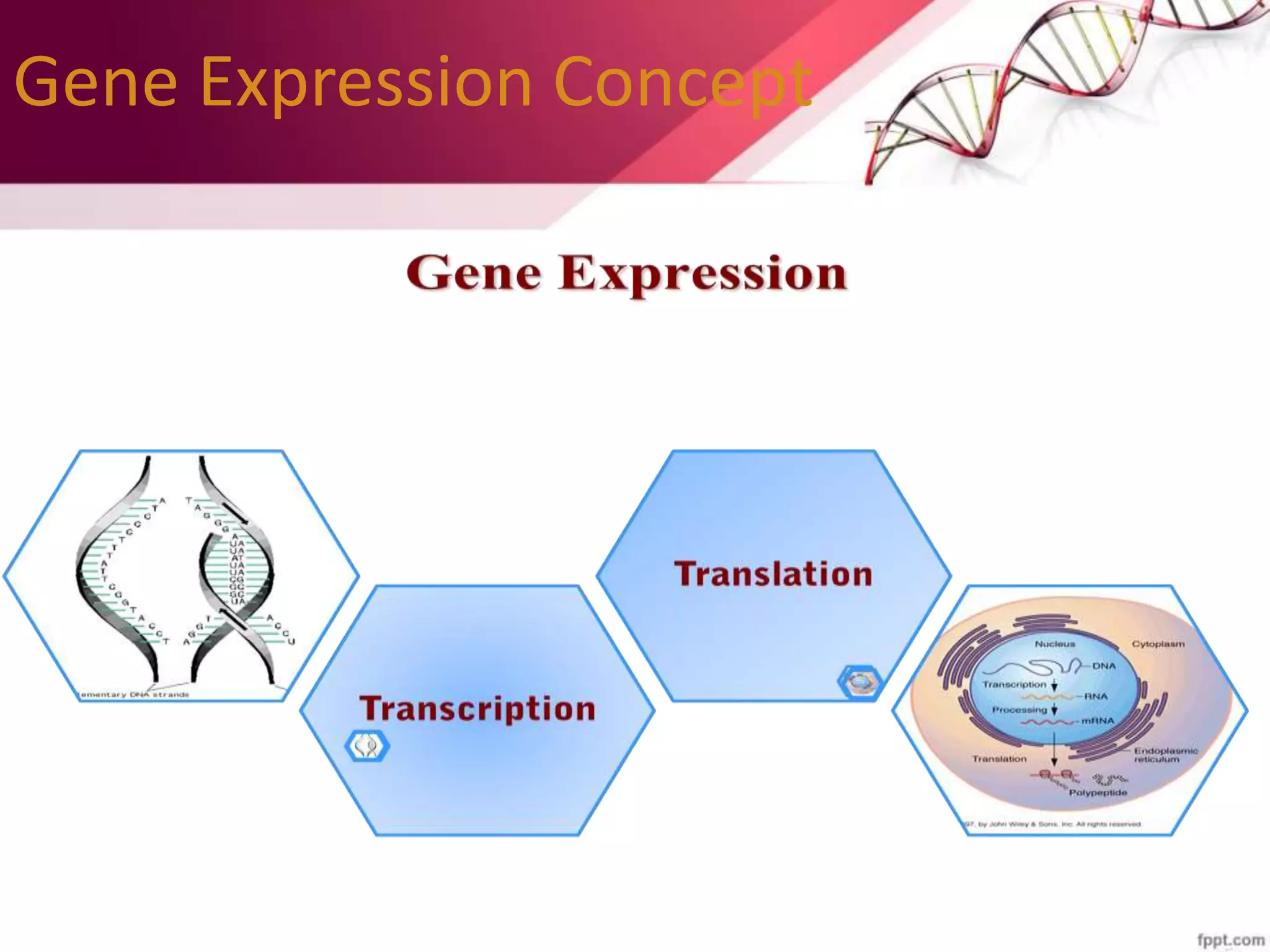 Gene expression concept and analysis | PPTX