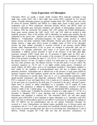 Gene expression in chloroplast | DOCX