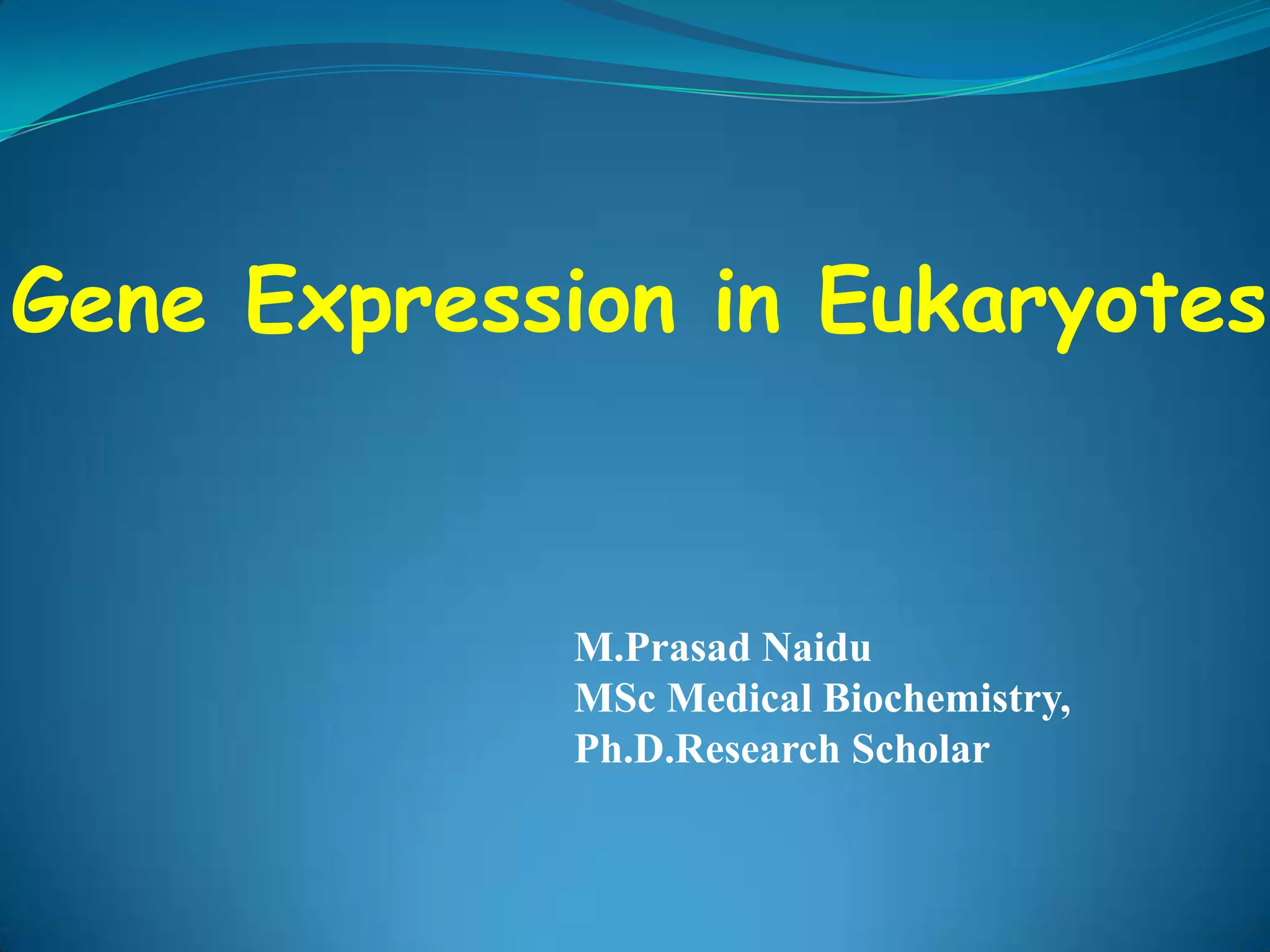 Gene expression in eukaryotes | PPT