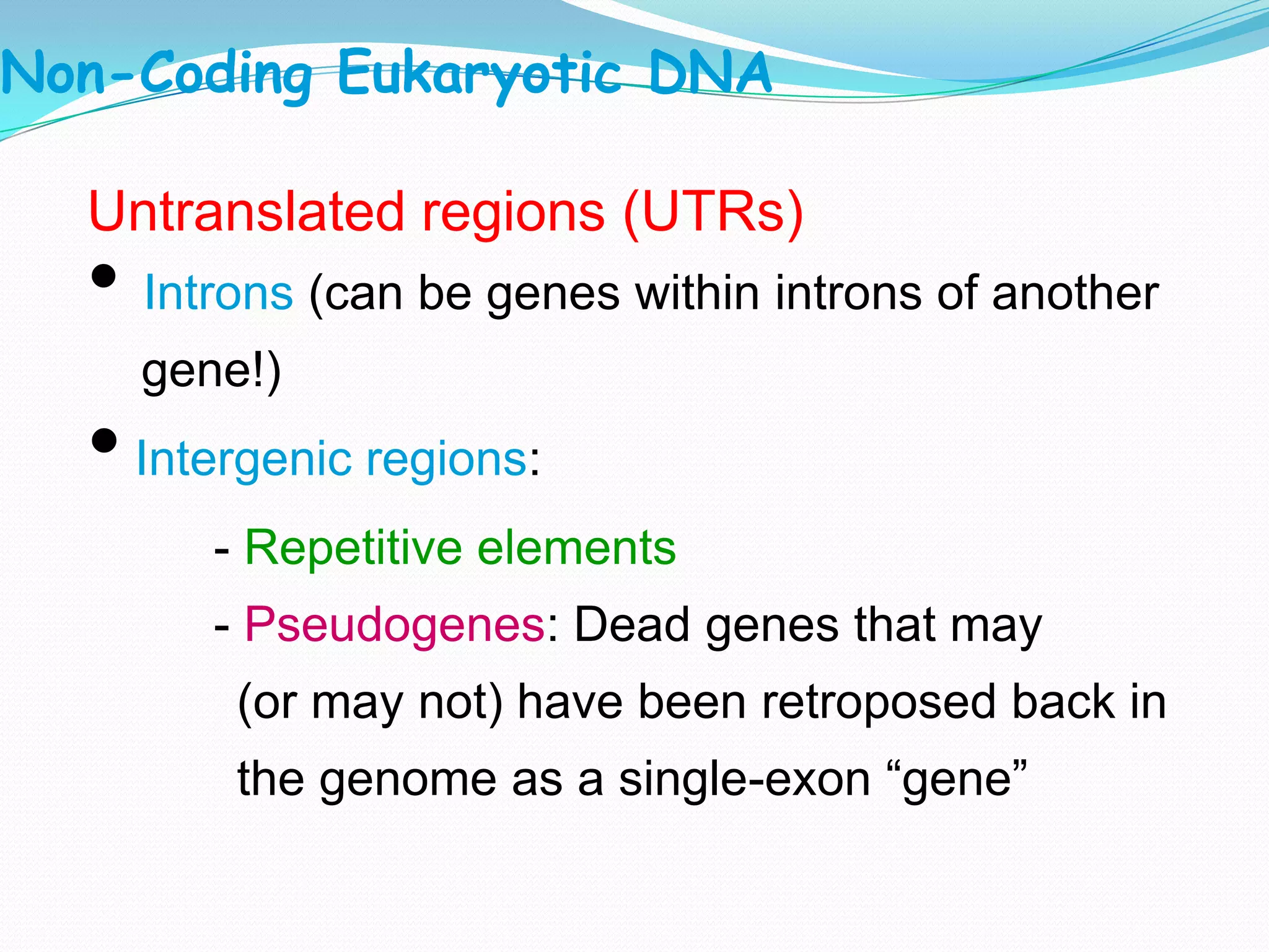 Gene expression in eukaryotes | PPT