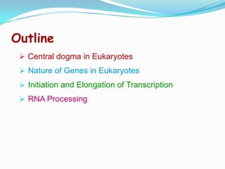 Gene expression in eukaryotes | PPT