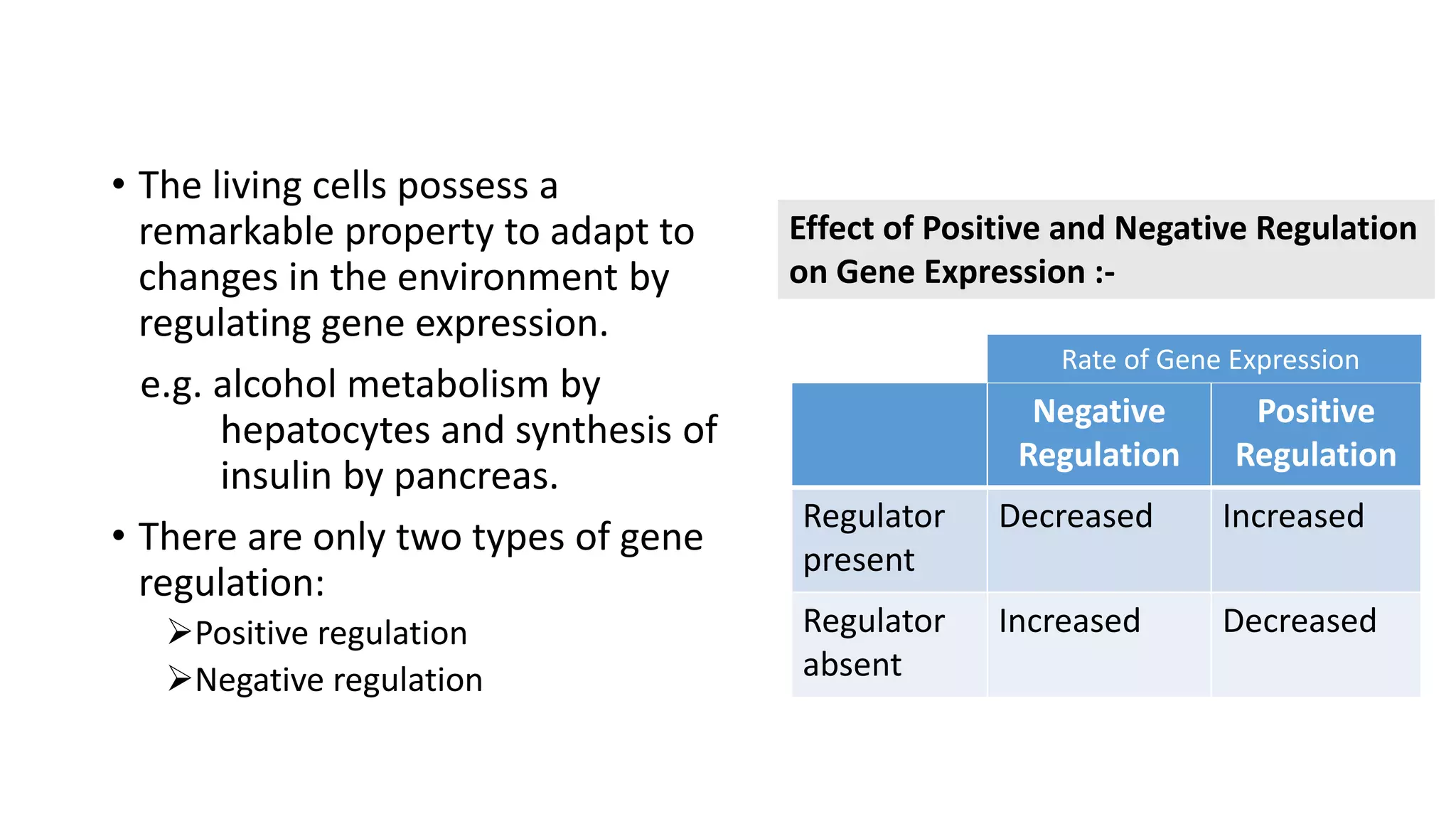Gene expression in eukaryotes 1 | PPTX