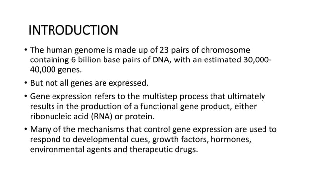 Gene expression in eukaryotes 1 | PPT