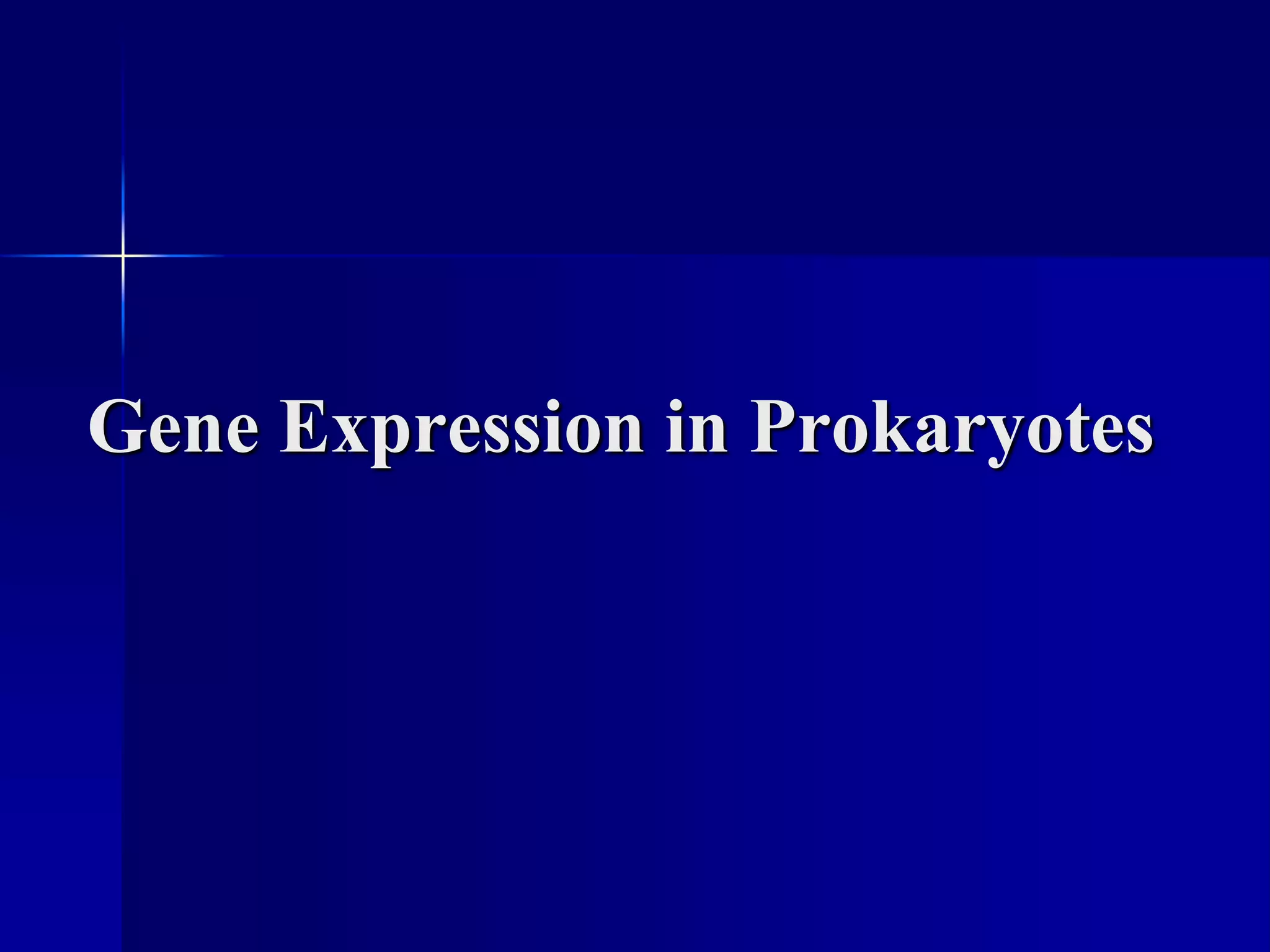 gene expression in prokaryotes.pptx