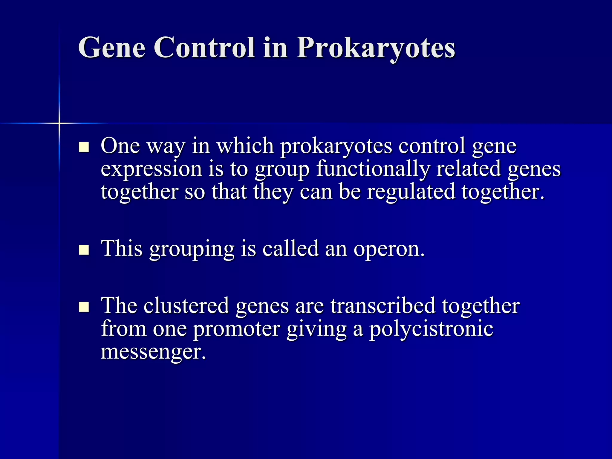 gene expression in prokaryotes.pptx