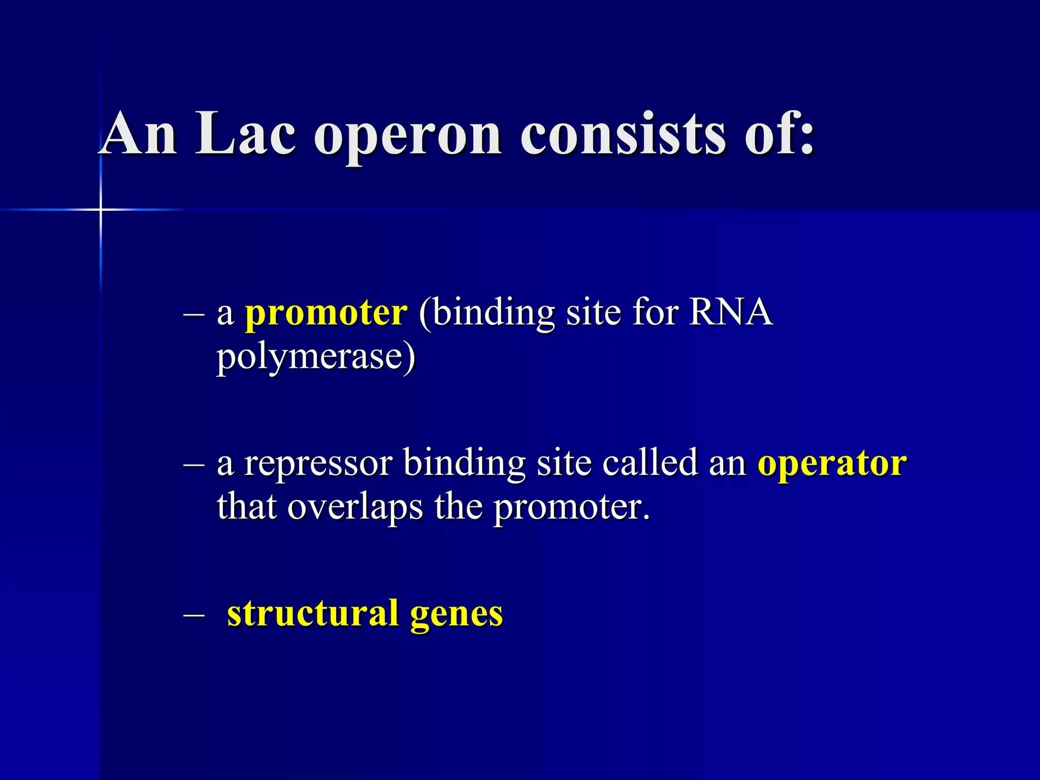 gene expression in prokaryotes.pptx