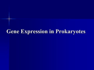 gene expression in prokaryotes.pptx