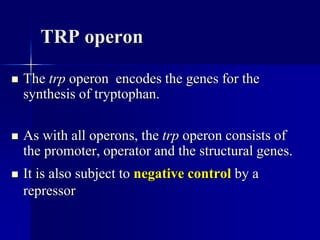gene expression in prokaryotes.pptx