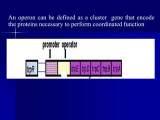 gene expression in prokaryotes.pptx