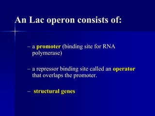 gene expression in prokaryotes.pptx