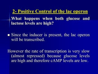 gene expression in prokaryotes.pptx