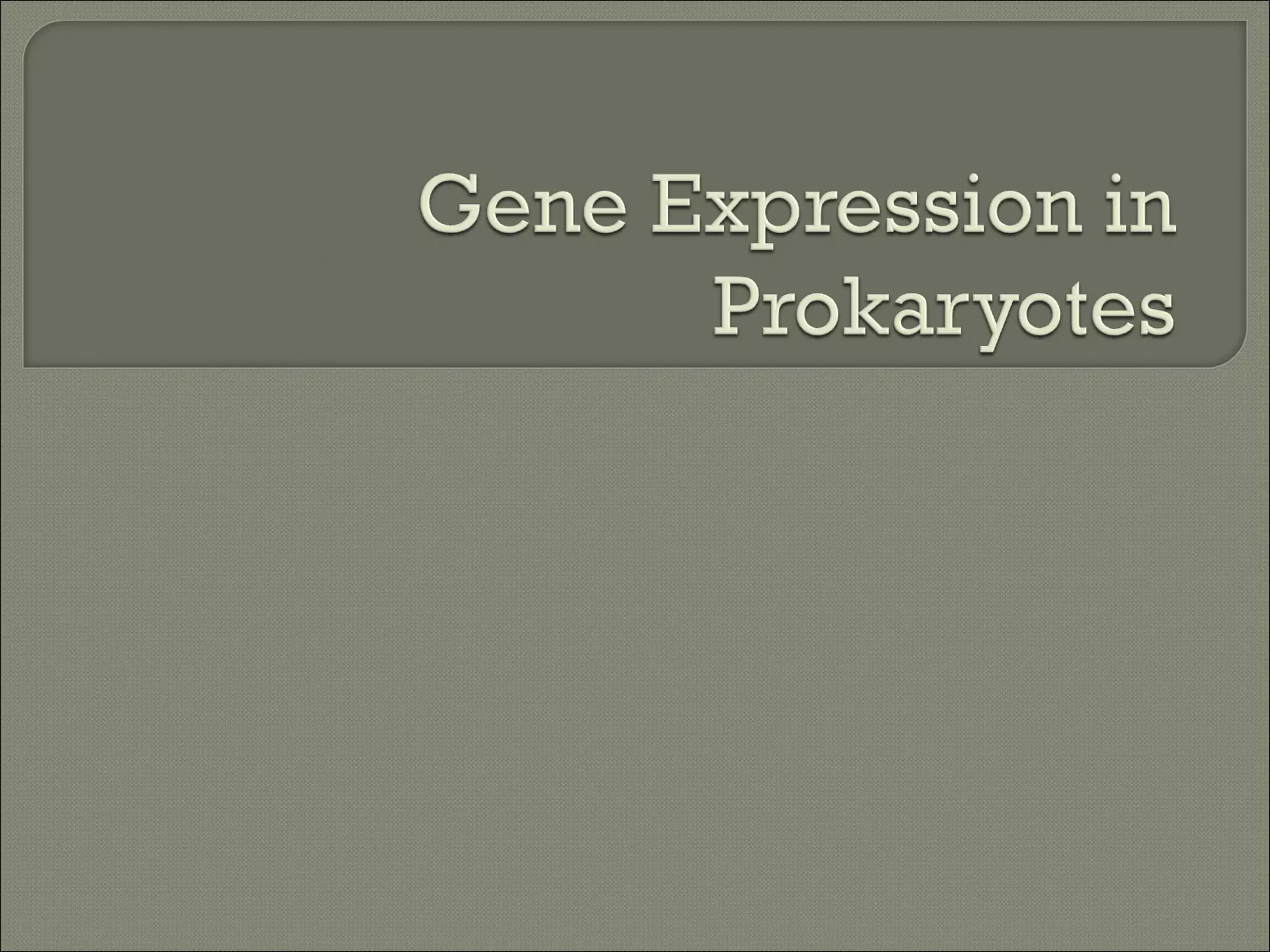 Gene expression in_prokaryotes | PPT