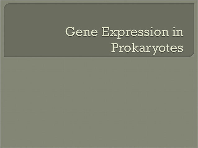 Gene expression in_prokaryotes | PPT
