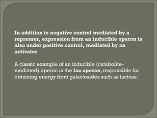 Gene expression in_prokaryotes | PPT