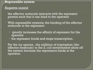 Gene expression in_prokaryotes | PPT