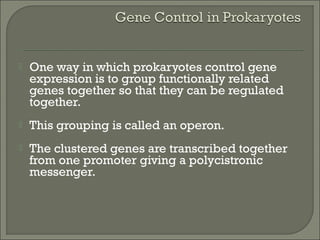 Gene expression in_prokaryotes | PPT