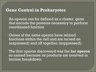 Gene expression in_prokaryotes | PPT