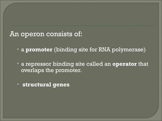 Gene expression in_prokaryotes | PPT