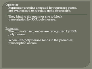 Gene expression in_prokaryotes | PPT