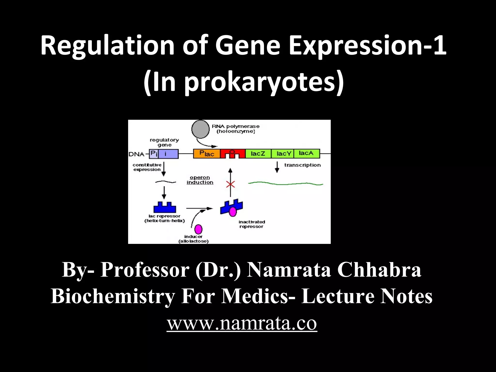 Gene expression in prokaryotes | PPT