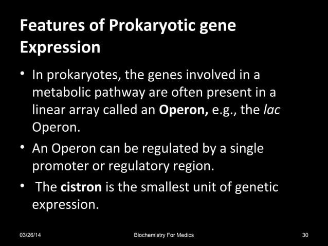 Gene expression in prokaryotes | PPT | Biological Sciences | Science